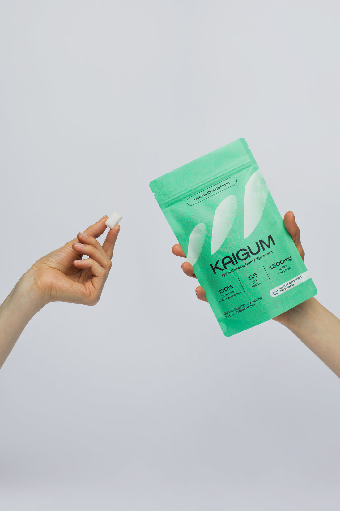 Kaigum Xylitol Natural Gum